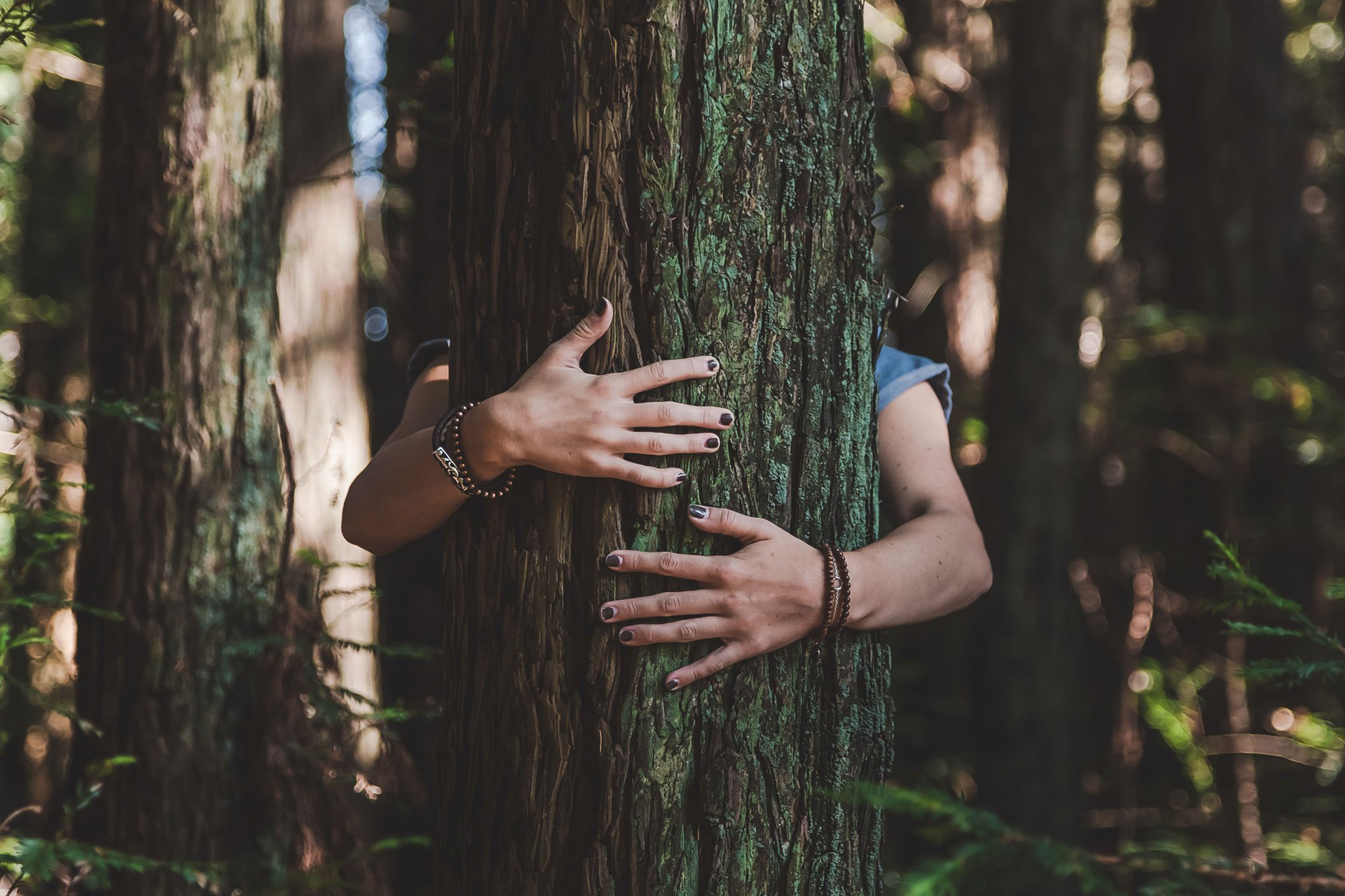Company - Beaver Rock Roastery Inc.